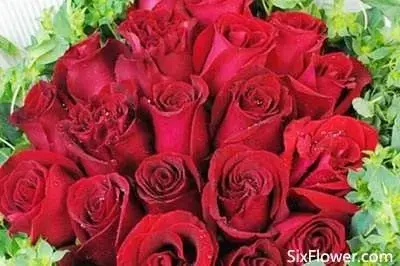 Red rose 520 is approaching, and the beautiful meaning of numbers ...