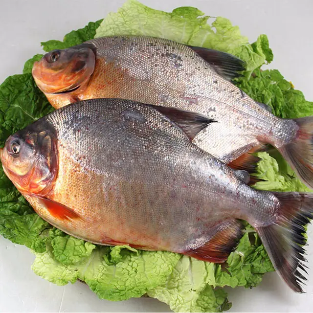 The delicacy of fish has conquered many diners, and most people also ...