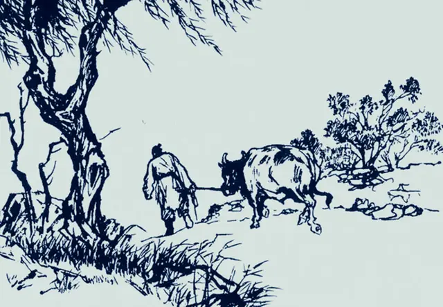 Folklore: The woodcutter came home, released a white fox on the way ...