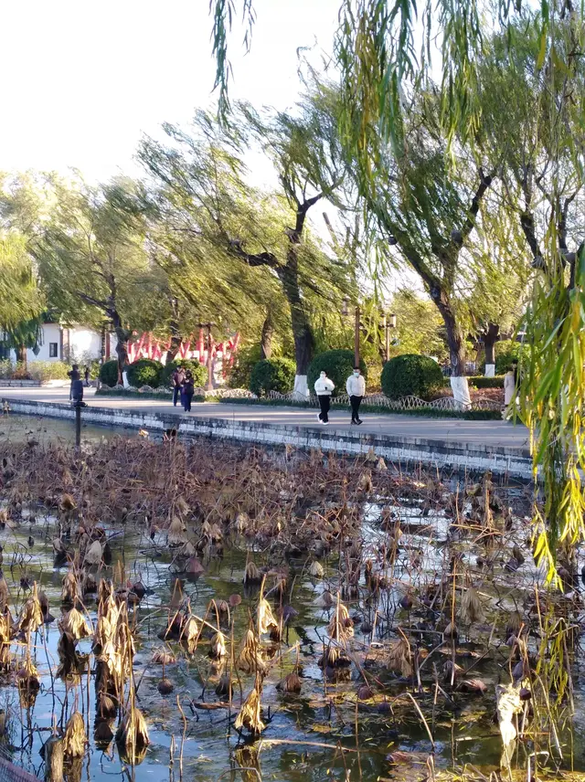 Looking back, the state of the world interprets bitterness and ...