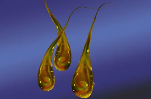 What is Rupert's Tears? It can't be penetrated by bullets, why is it ...