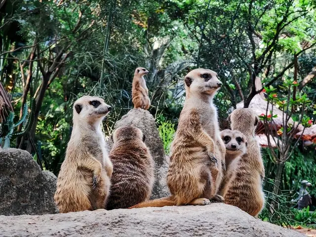 Ferocious, wild, free... In various documentaries, the wild animals on ...