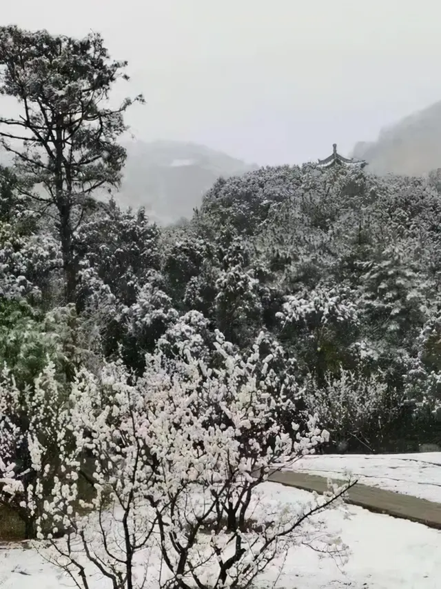 February is so cold - article| DayDayNews