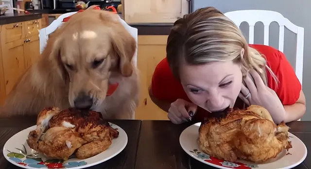 Today, the pet dog Barbie and his owner made a challenge to eat the ...