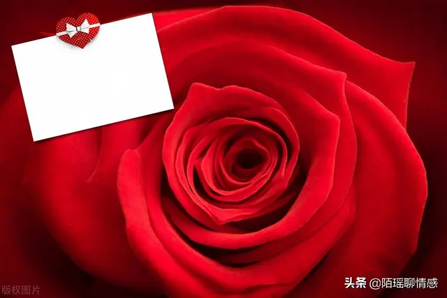 Love is innate, love is a feeling of blood filling with water. Love ...