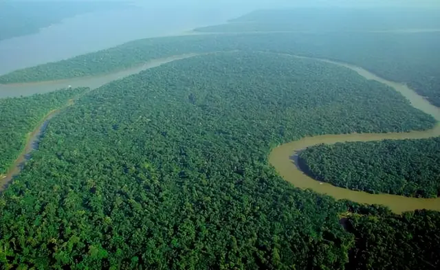 The Amazon rainforest area of 8 countries in Hengyue reached 7 million ...