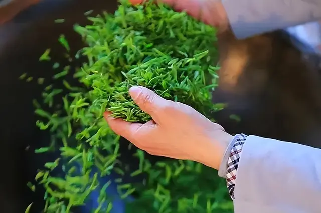 Anji white tea began in the Song Dynasty. Song Huizong recorded in ...