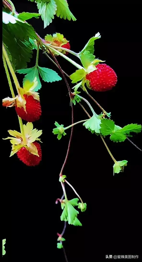 In this hot summer, people will inevitably lose energy, but seeing ...