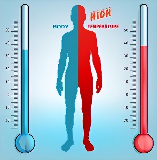 Have you noticed such a phenomenon? It seems that our human body ...