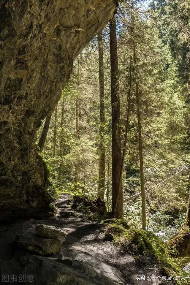 In the mountains, an ordinary stone and its friends were buried in the ...