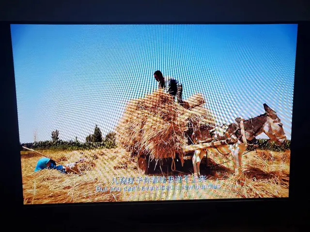 The movie "Hidden into the Dust" only has Guiying's suffering, and Ma ...