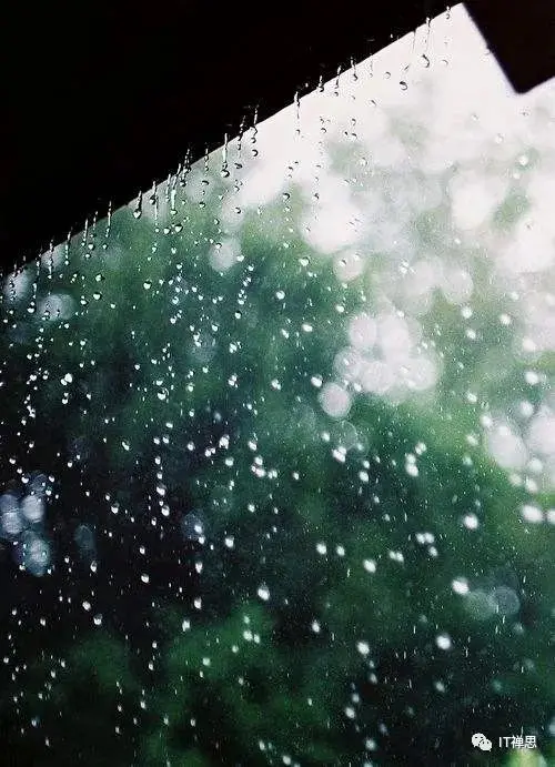 The rain began to become lighter last night, and it fell in a steady ...