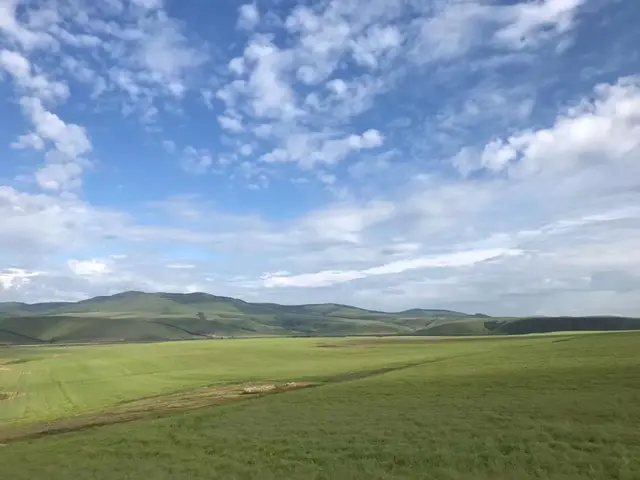 Xiao Rui is 38 years old this year. She is very rich and she usually ...