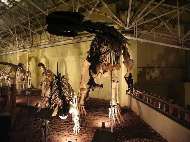 When the Earth was formed about 4.6 billion years ago, it was just a ...