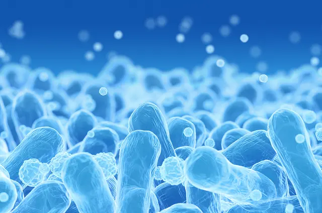 American researchers wrote in the latest issue of Cells that they have ...