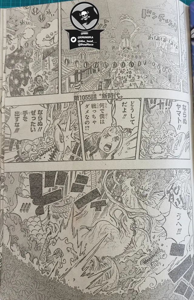 One Piece Chapter 1055 complete picture gallery has finally been ...