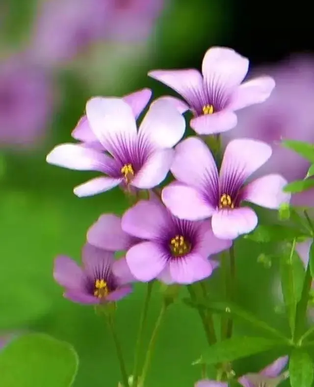 In the quiet night, I was suddenly awakened by the sound of rain. The ...