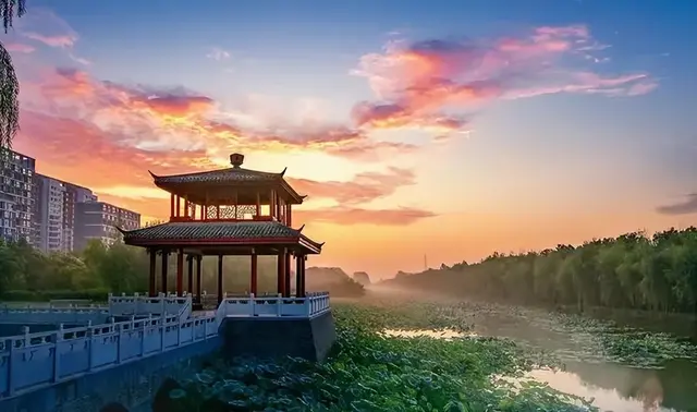 Introduction: "Strange phenomenon" of banquets in Henan: banquets ...