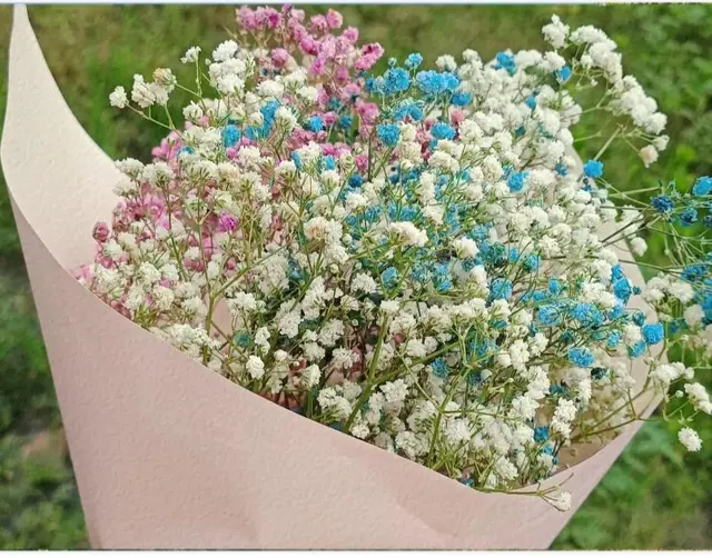 Have you ever seen thousands and countless flowers? I have all of these ...
