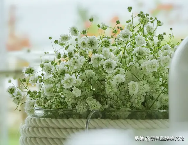 Author: Xinyue Lanshang A drop of tear fell into the dust and turned ...