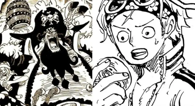 Hello everyone, I am a little spider. The latest words of One Piece ...