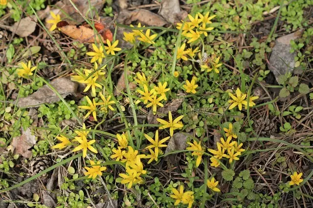 Peng Shi, a native of Jingzhou, suddenly felt anxious on his way home ...