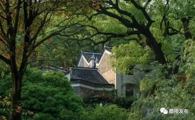 This ideal is a beam of light that illuminates the way they move ...