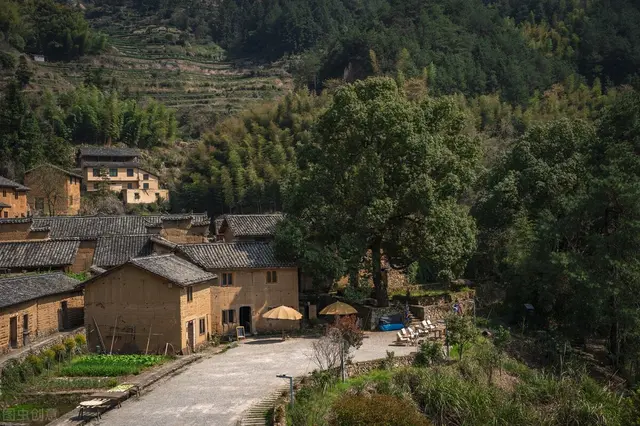 On this day, Granny Zhao was lying on the bed moaning in pain and asked ...