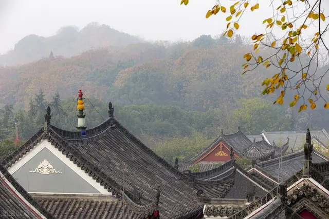 August 20 - August 28, 2022 Moderate rain turns to light rain. Outside ...