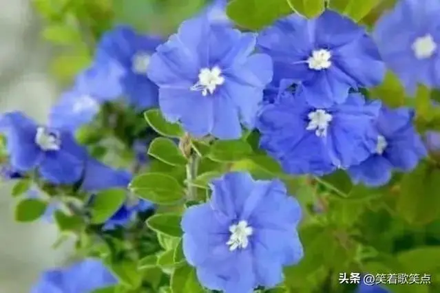 When Liu Yuguang and Chen Yao entered, the extra-large round table in the private room was ...