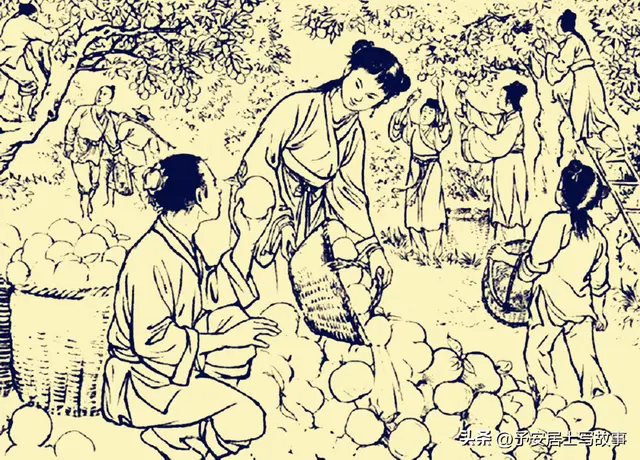 There is a red maple forest in Canghao Mountain. The maple leaves are ...