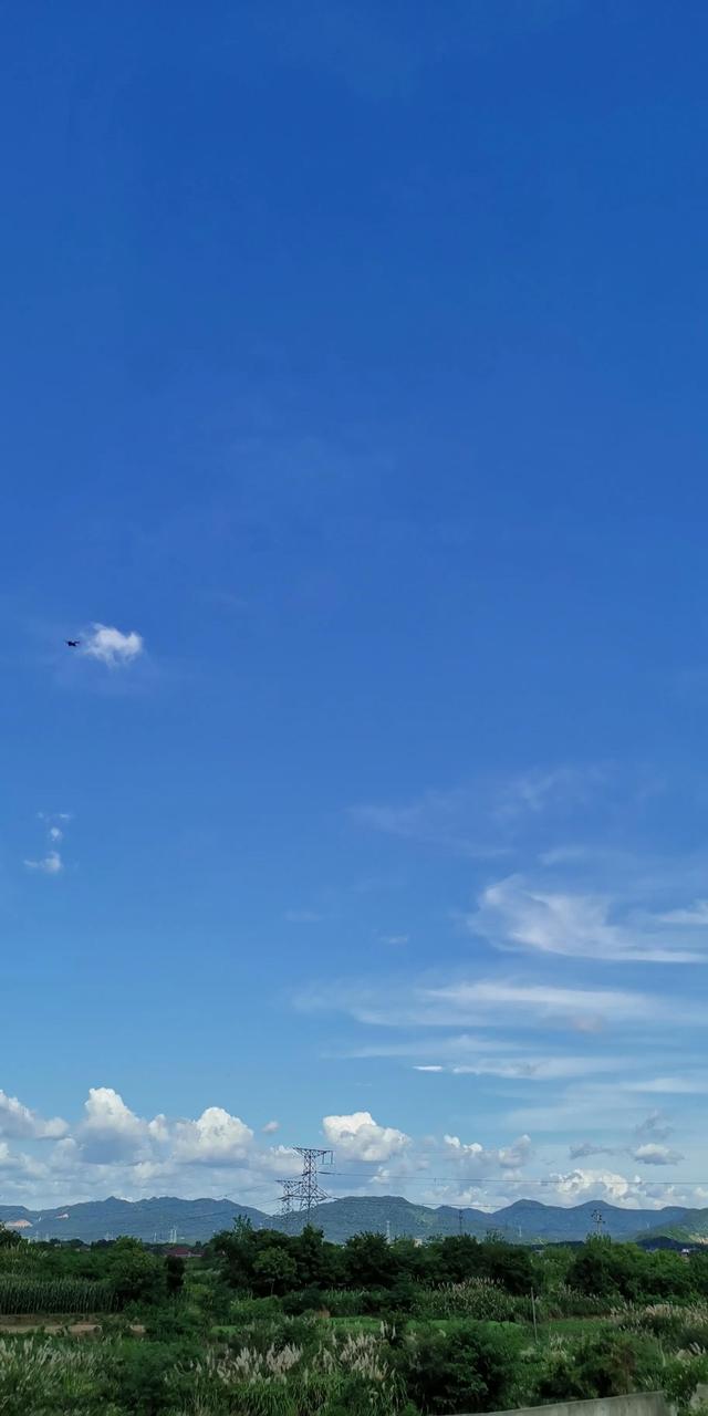 Recently, humans evolved from fish and became a hot search. This was ...