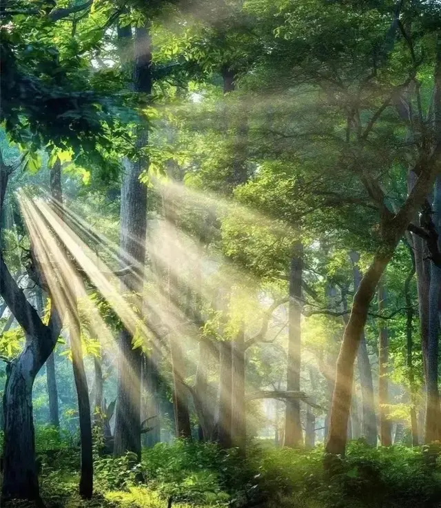 How would you describe today's weather? Yandu after the rain is simply ...