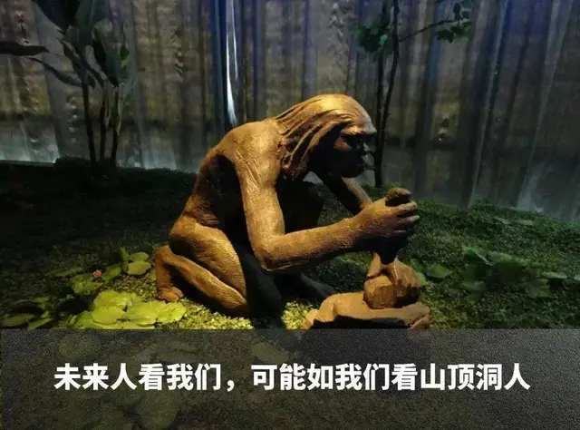 Sima Nan, 66, has worked as a civil servant, worked in the media, acted ...