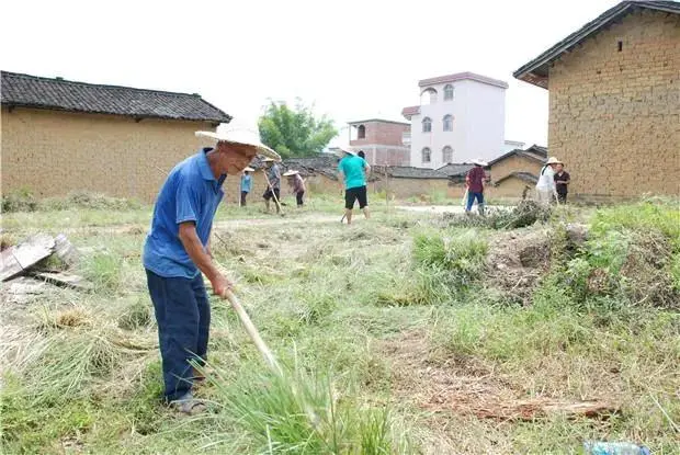 In the spring of 1987, Hongxia and I went to Hebei Anguo Medicinal ...