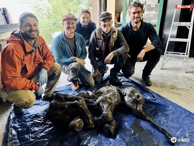 Recently, the Yukon Territory in northern Canada announced the ...