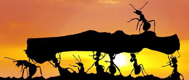 If one day, a group of aliens occupy the earth, they may not choose to ...