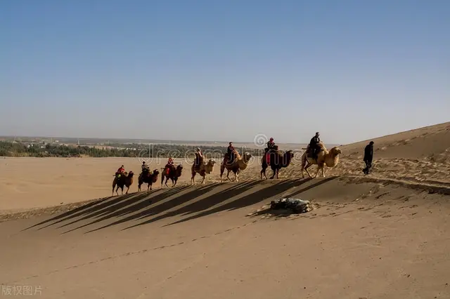 A 7,000-word masterpiece led by the Chinese Academy of Traditional ...