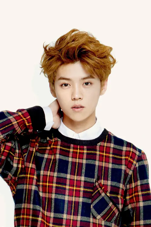 Lu Han's appearance has always attracted much attention, and his entire ...