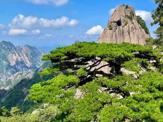 From busy summer to autumn, it can finally come to an end. I want to ...