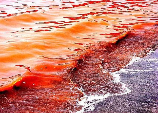 It is reported that this female netizen accidentally walked to the ...
