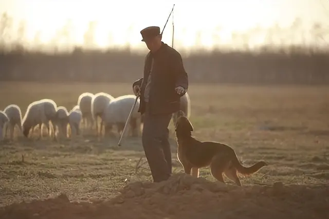 On a sunny afternoon in 1998, an old man in an old military uniform and ...
