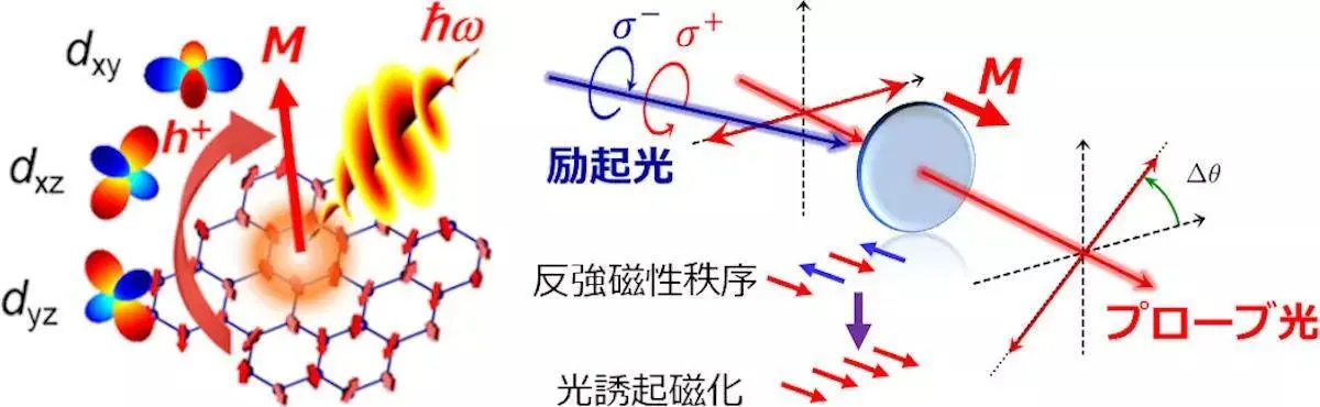 Professor Shinichiro Iwai, Special Researcher of Tatsuya Amano, Professor Kenya Osuke, Associate ...