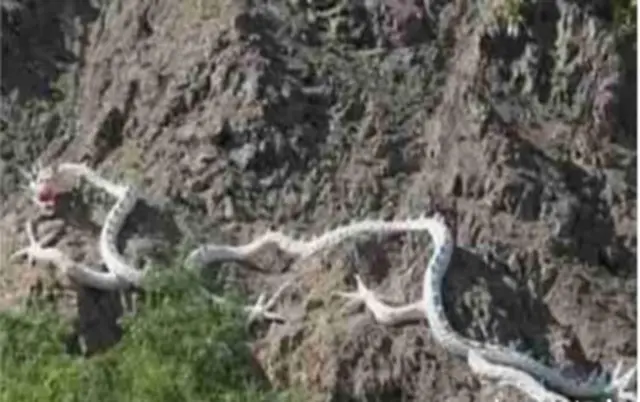 Due to a severe drought in Henan, the reservoirs dried up and the ...