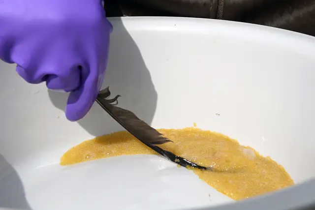 Xinhua News Agency photo, Gangcha (Qinghai), July 1, 2022 "Midwives" on ...