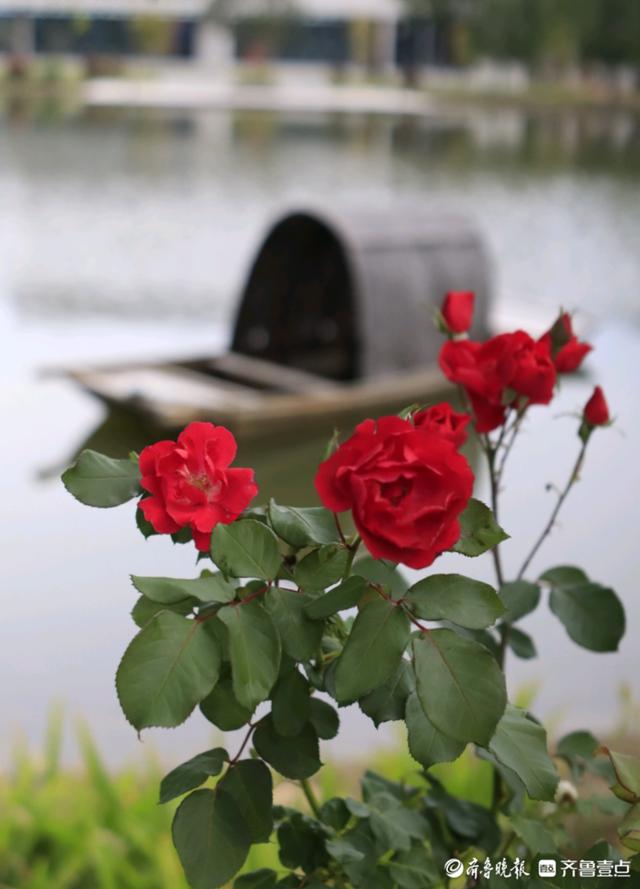 Entries: "Tranquility" Author: Yang Renhe School Department: Taishan ...