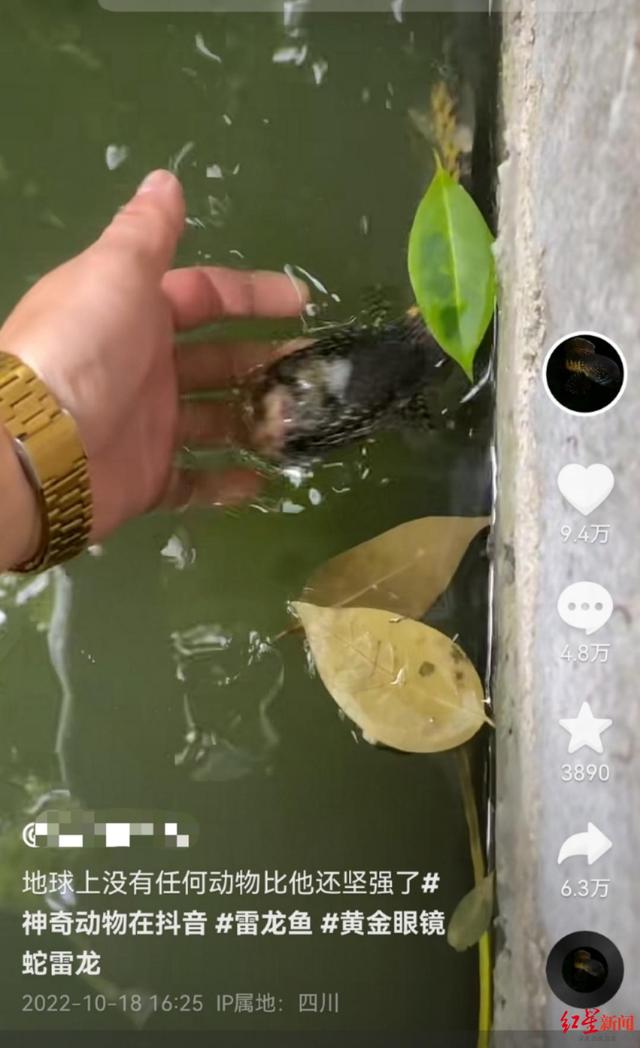 Recently, in Chengdu, Sichuan, a video about the "headless" thunder ...