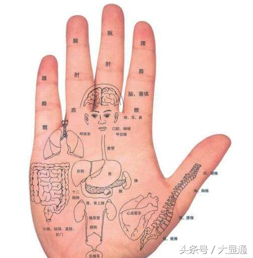 手相看身体健康图解11图