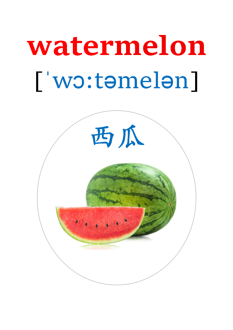 西瓜单词卡片单词卡片图片大山谷图库 