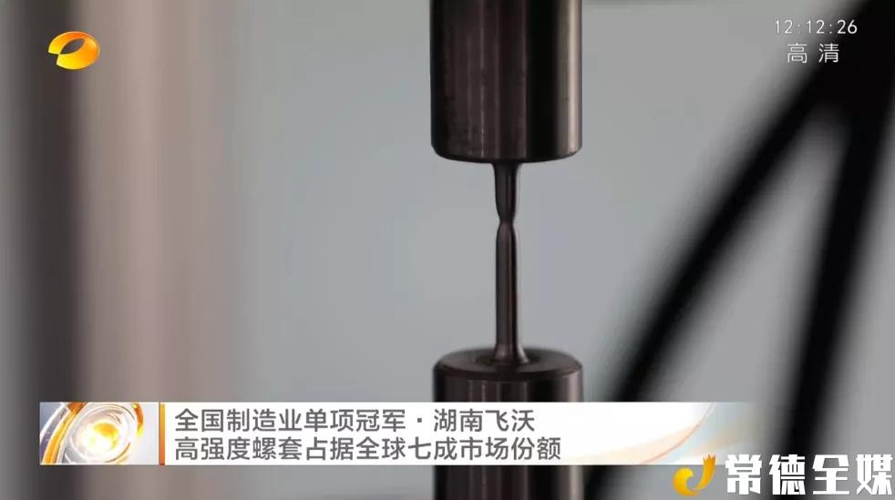 全国制造业单项冠军！常德这家企业获湖南卫视关注！ - 标件库